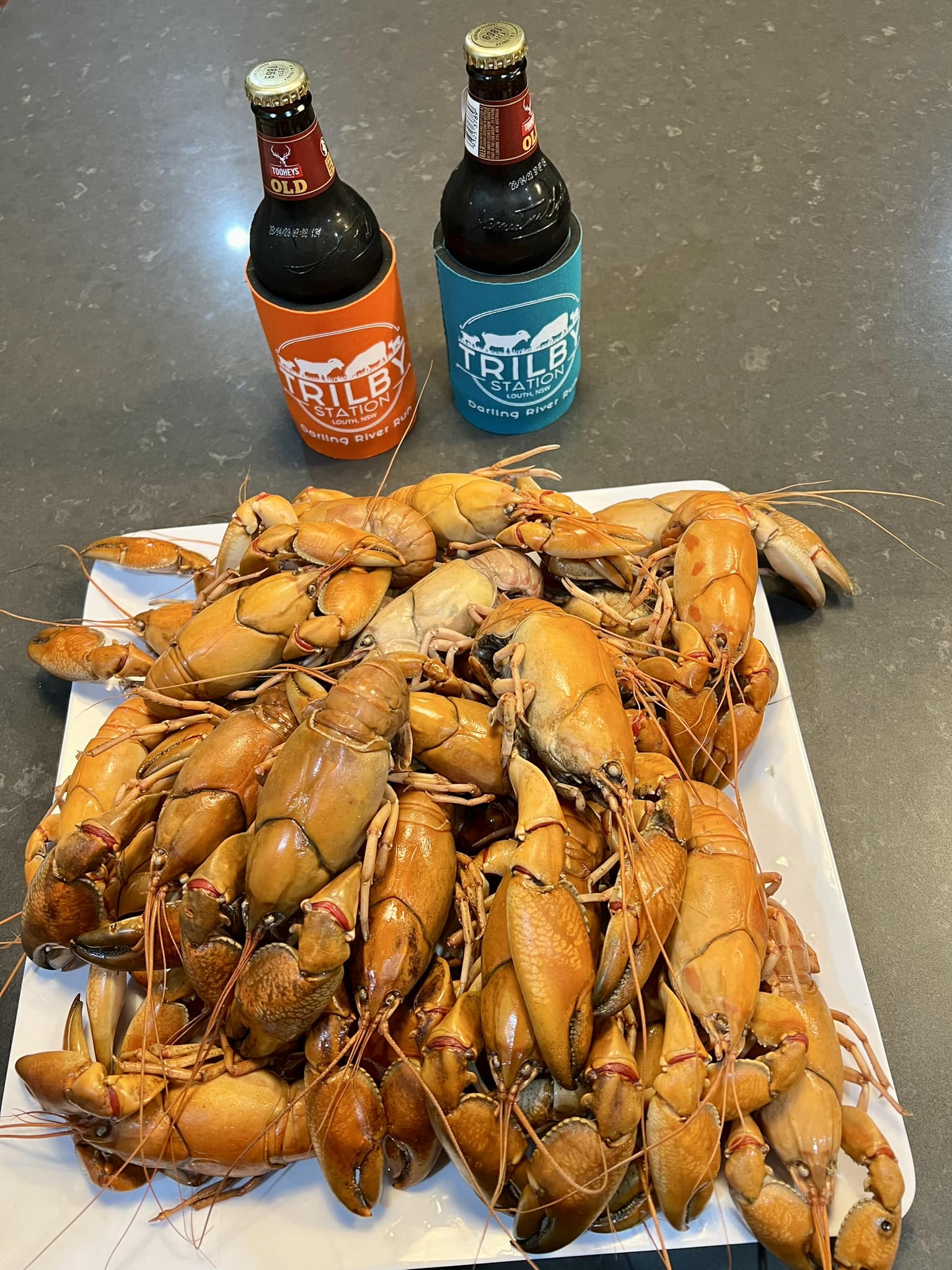 Yabbying still elicits a sense of nostalgia in landlocked Aussies eager ...