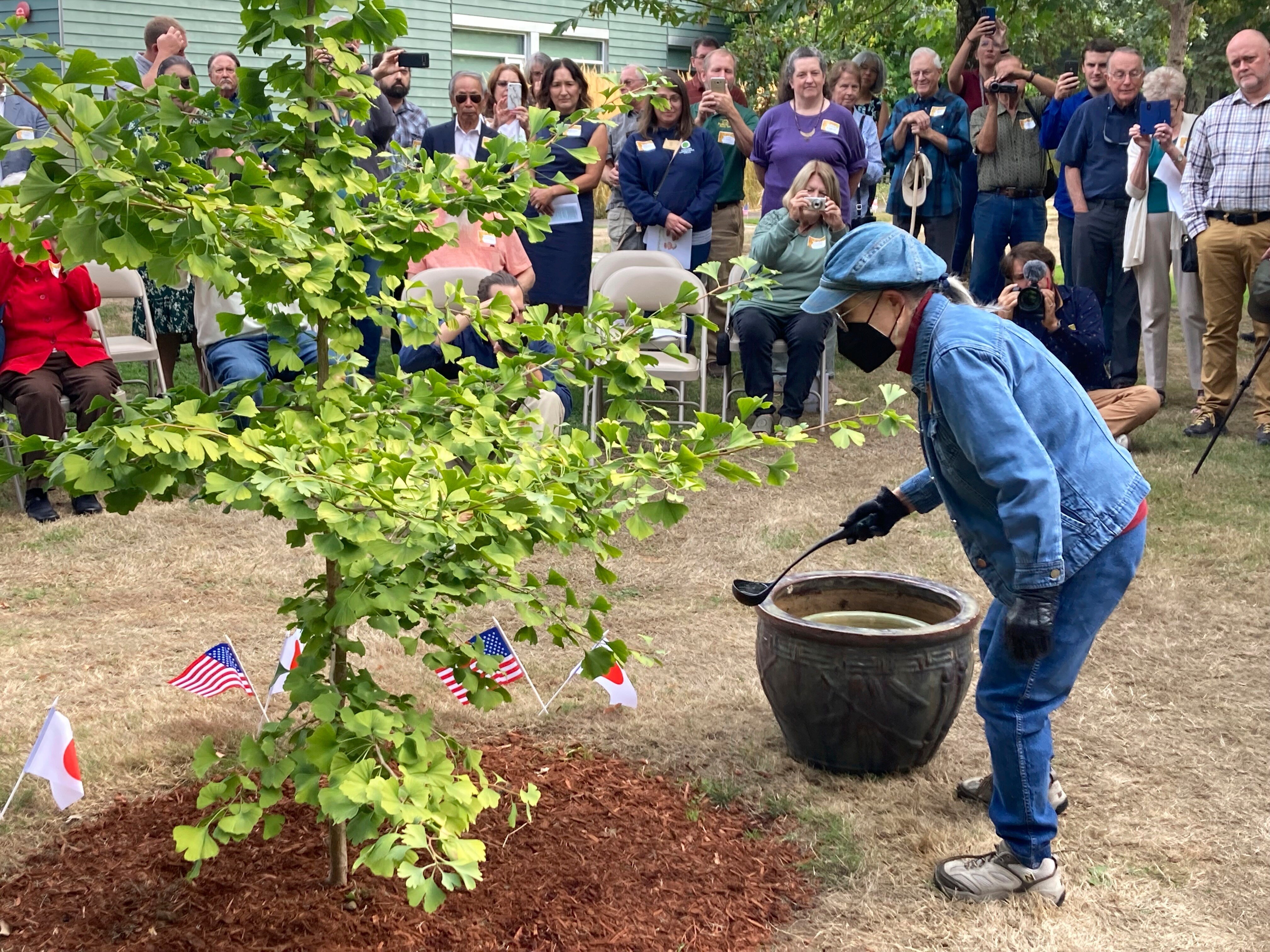 A-bombed trees from Hiroshima planted in Oregon show resilience in the ...
