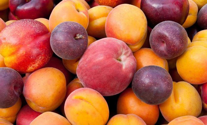 SA Weekends with Deb Tribe - ABC listen