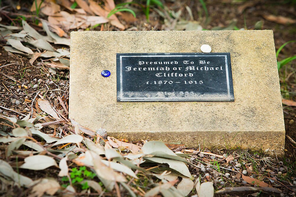 What happens to those Jane and John Does who can't be identified? - ABC ...