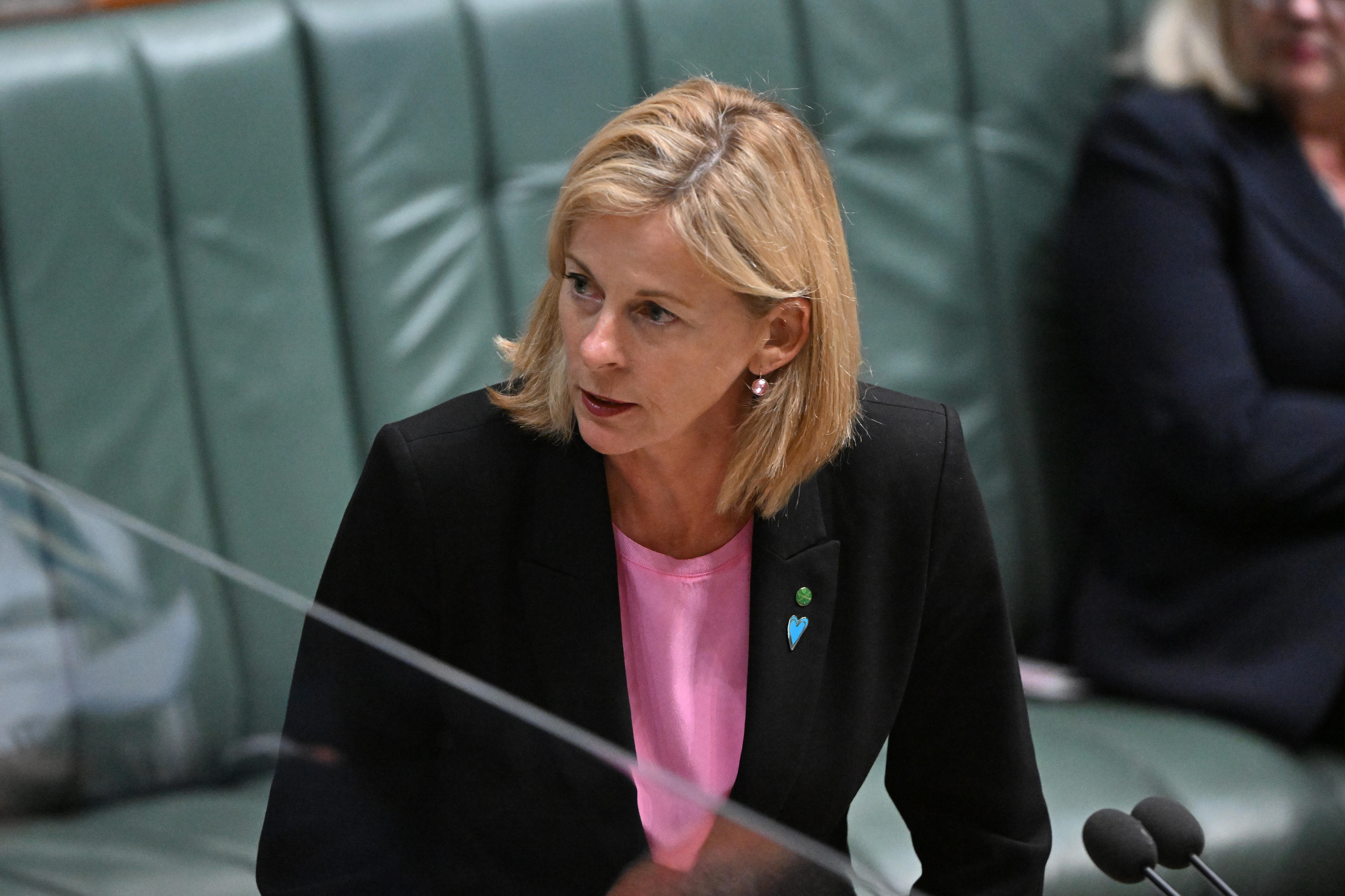 Environment law overhaul will be sped up and have broader ambitions ...