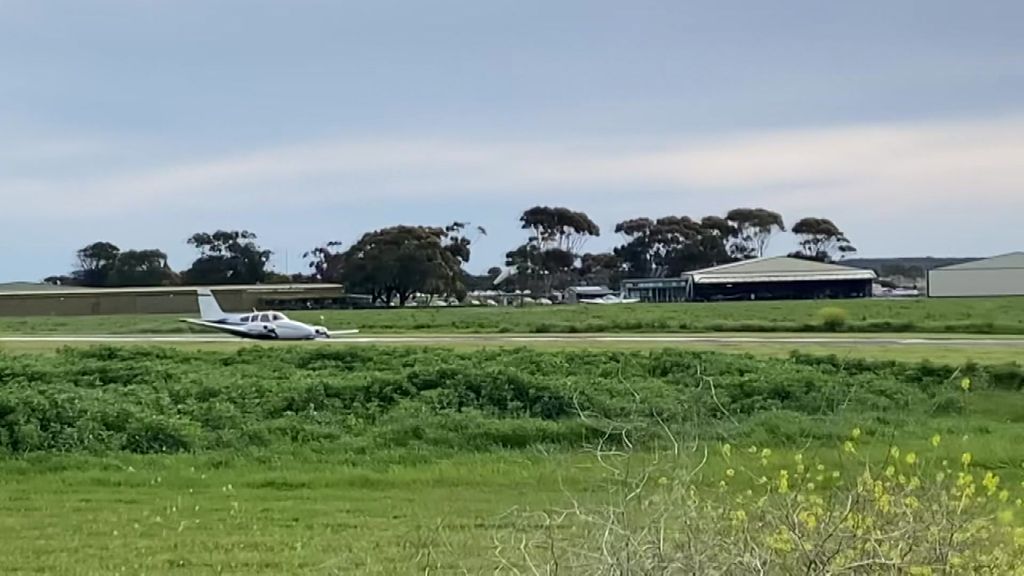 Plane lands safely as it skids across airstrip with no wheels in SA ...