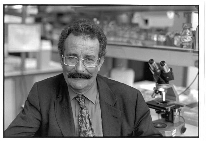 World-leading fertility expert Robert Winston on the reproductive ...