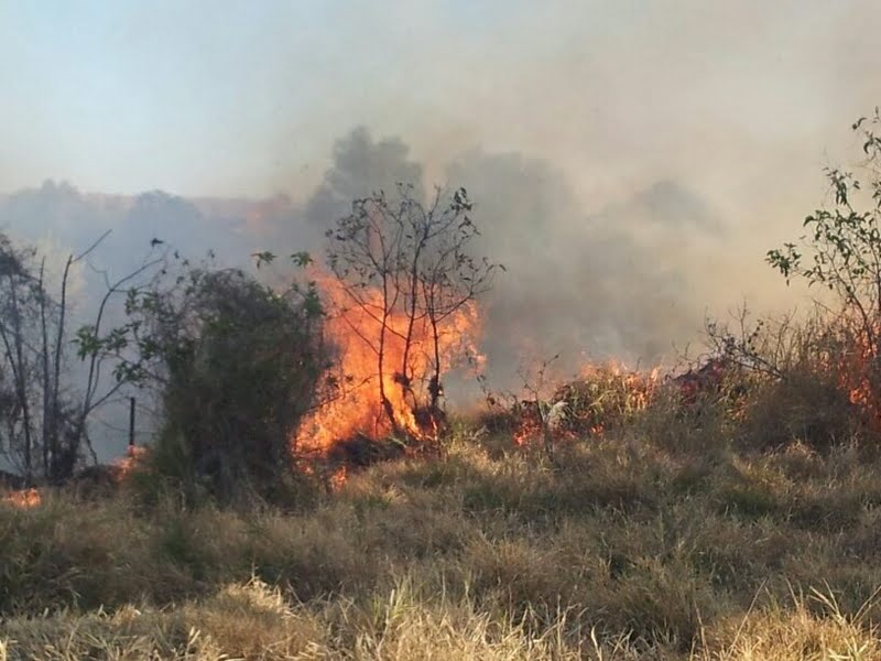 Rain brings relief in marathon fire effort - ABC News