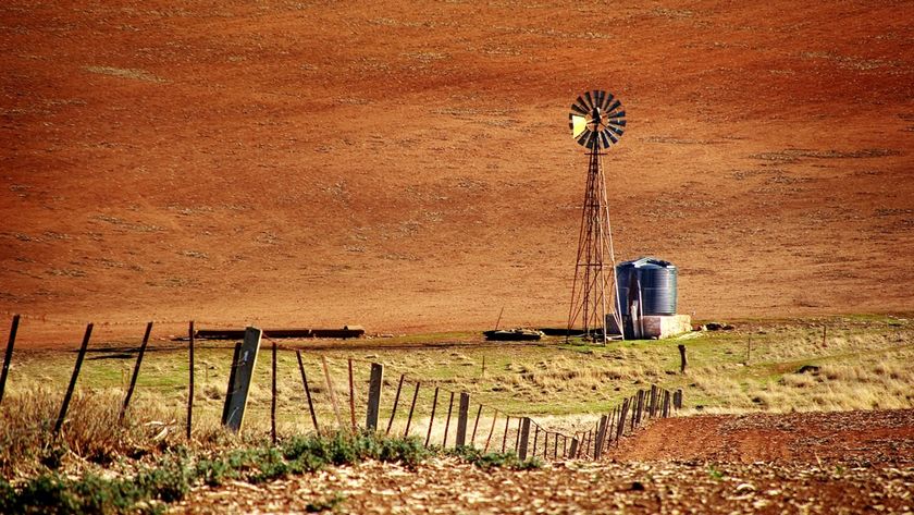 Farm sector facing ageing workforce - ABC News