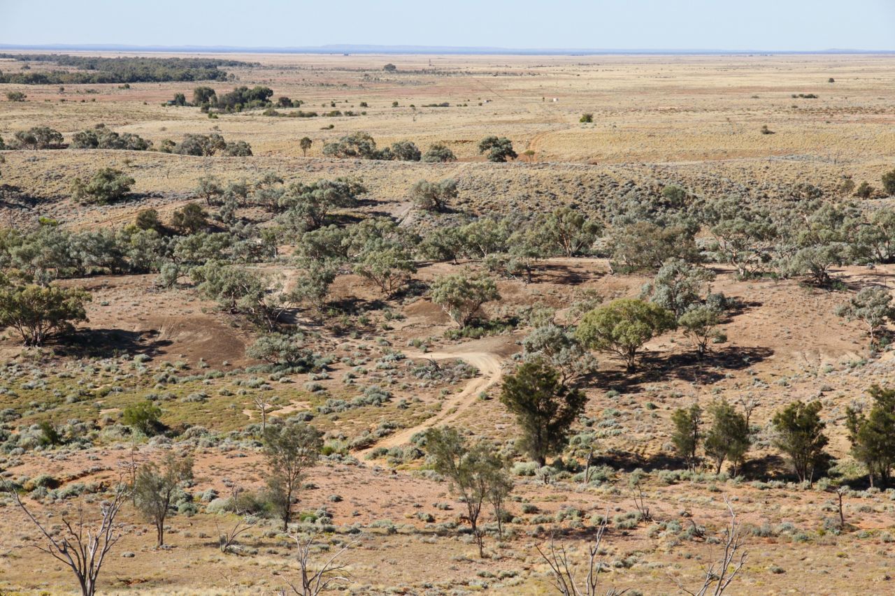 Fowlers Gap research station still important to global science after 50 ...