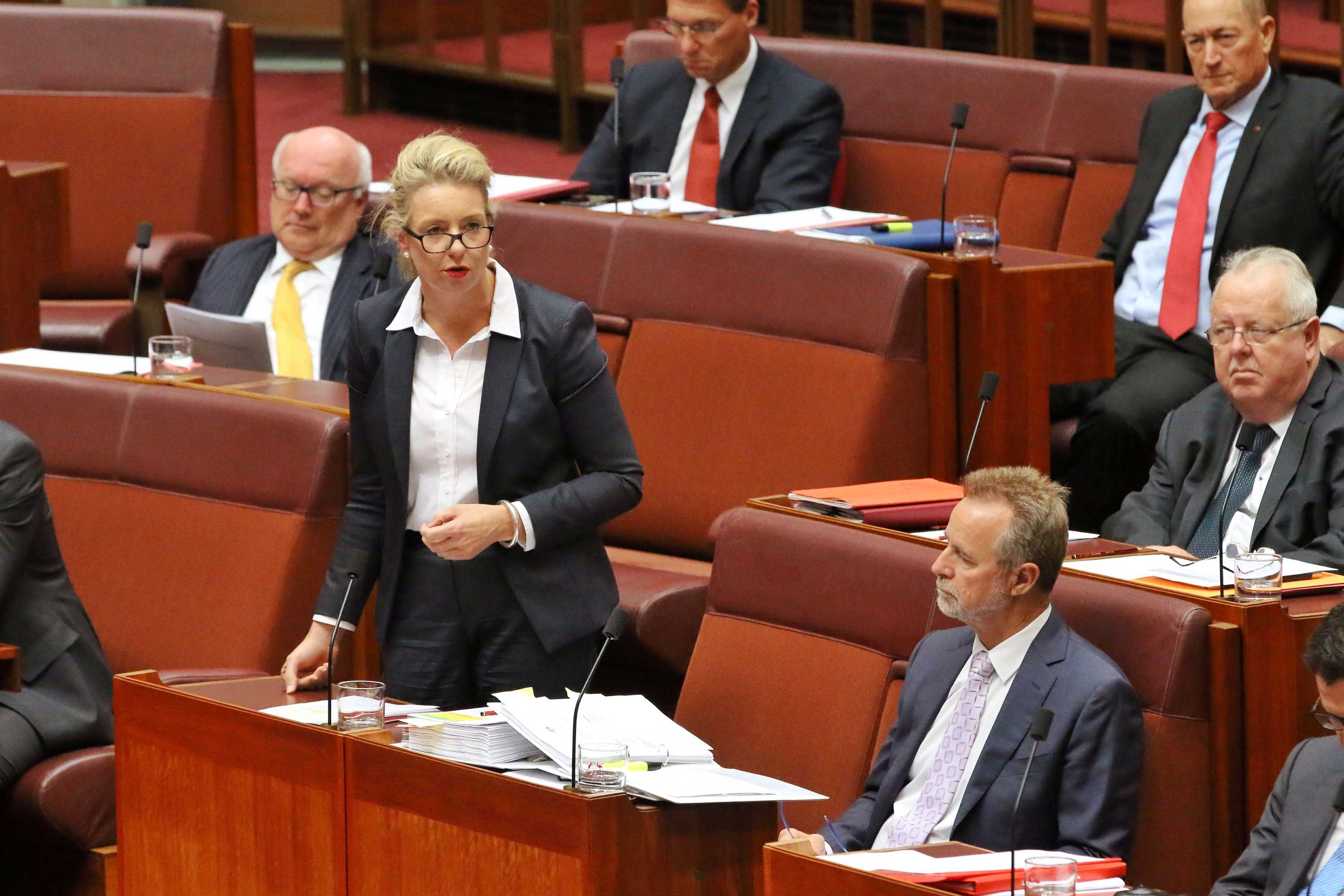 Women remain underrepresented in Parliament after 2019 election - ABC ...