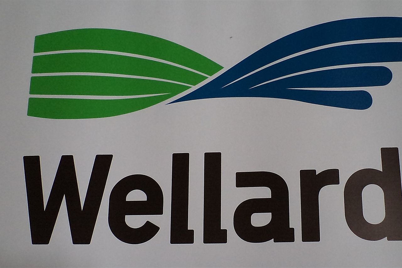 Wellard committed to the future of live trade - ABC News