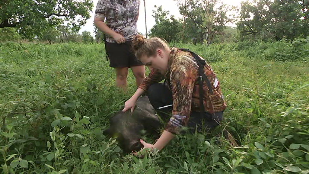 Female pig hunters aim high in the Northern Territory - ABC News