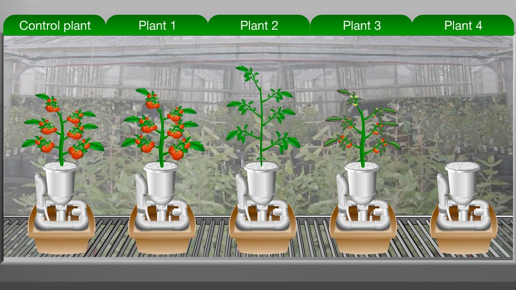 Fair Test - ABC Education