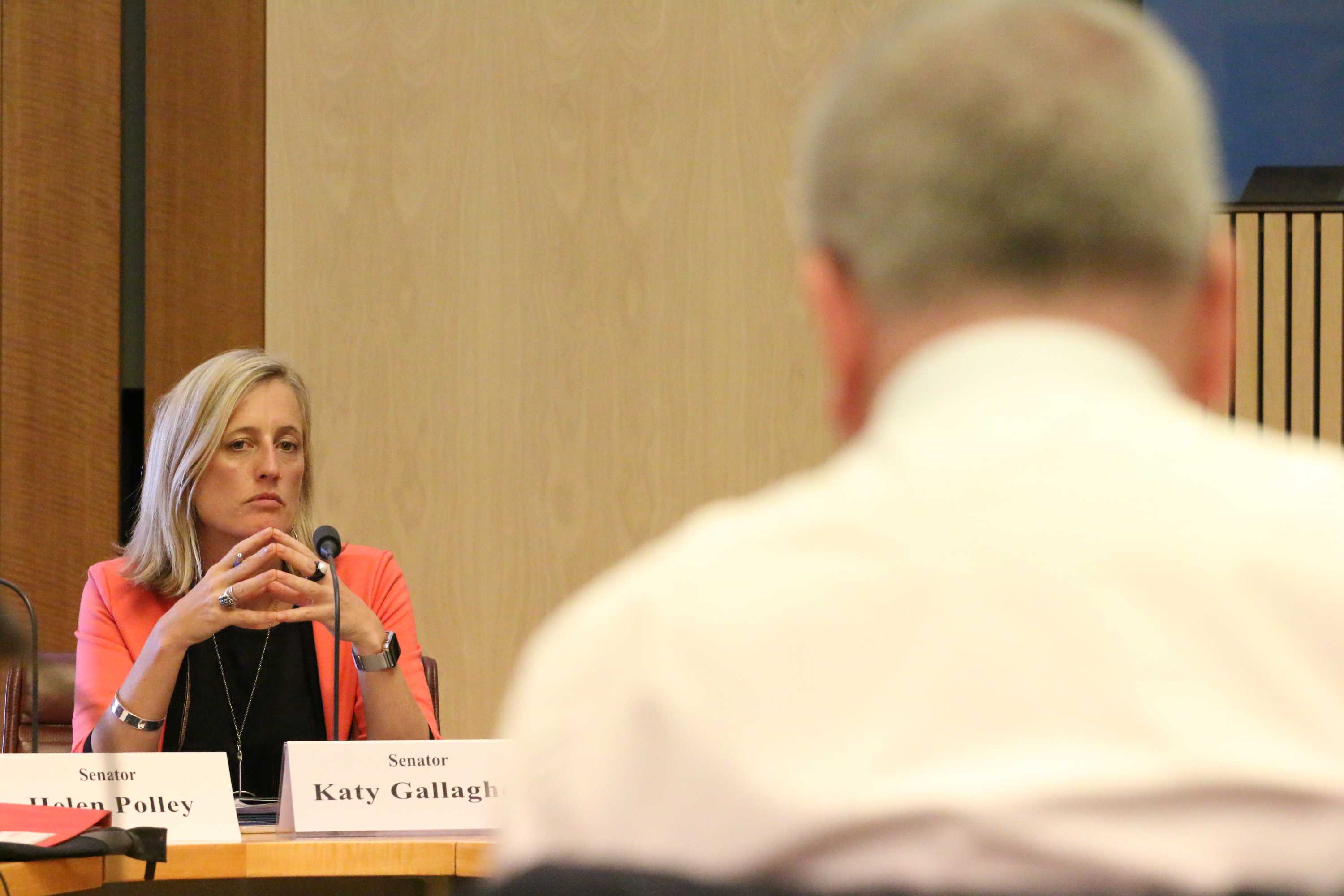 Citizenship saga: ACT Assembly could investigate Katy Gallagher Senate ...