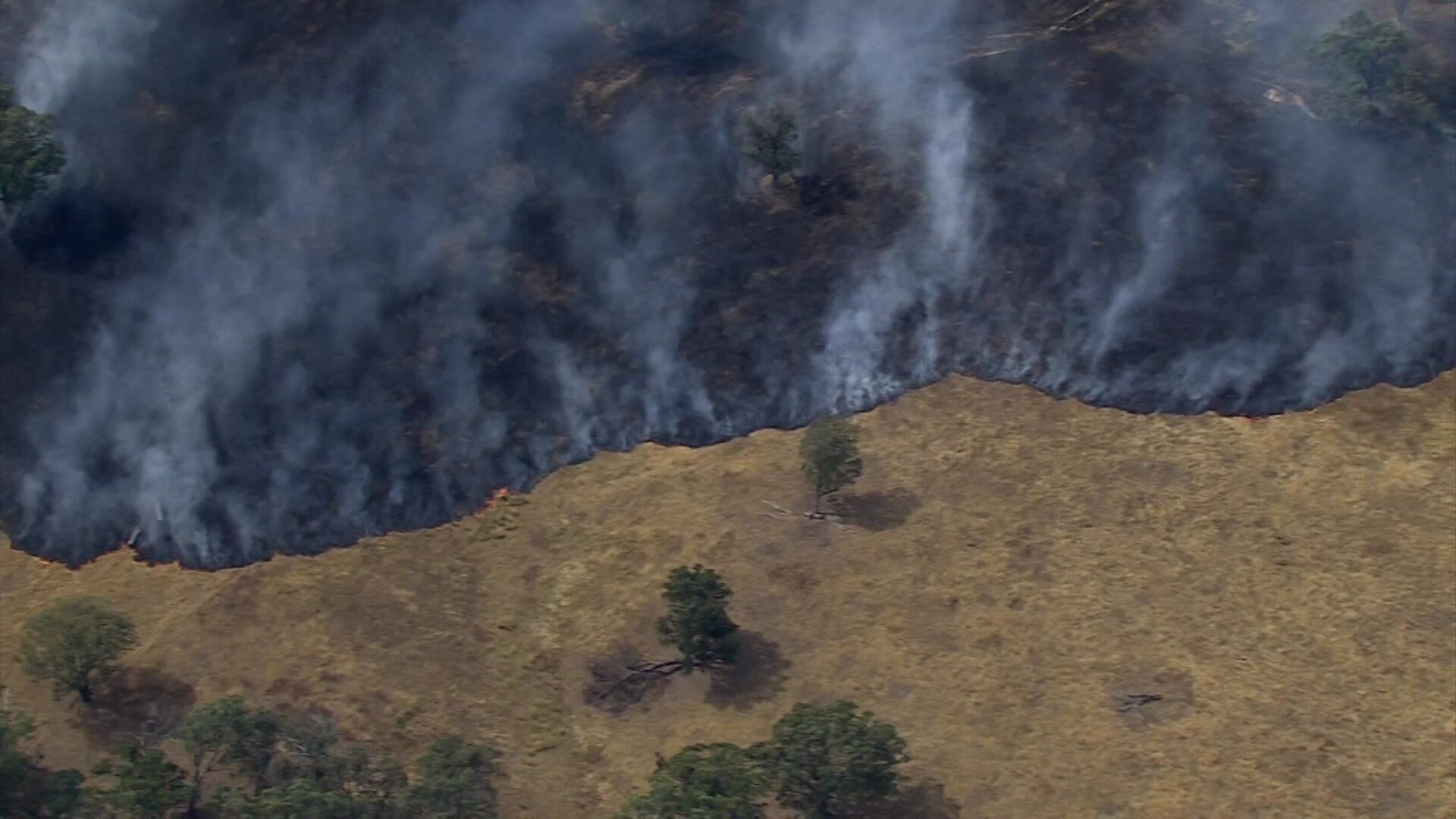 Helicopter vision shows scale of the Longwood fire. - ABC News