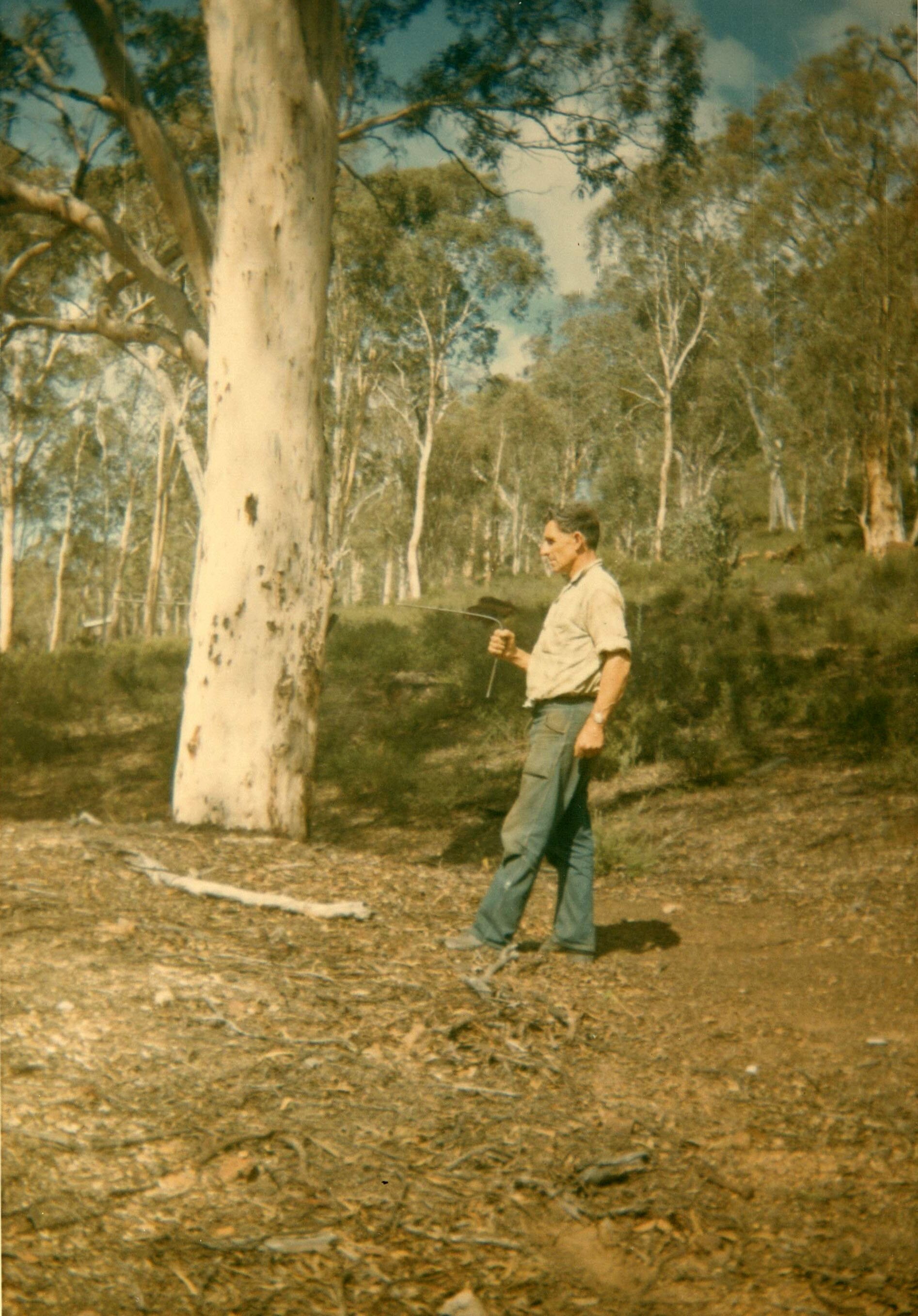 From divining rods to automatic water finders, the hunt for water in WA ...
