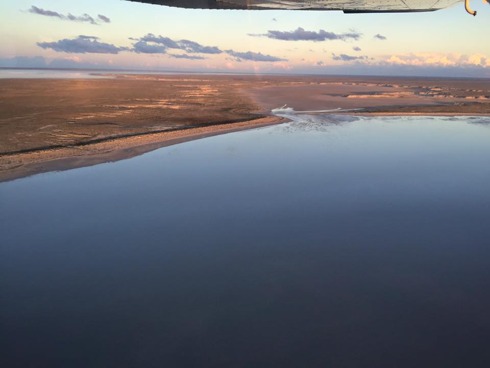 Tourists stranded as outback SA towns cut off by floodwaters - ABC News
