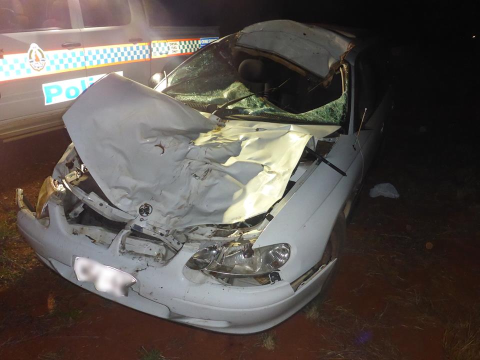 Drunk L-plate driver hits cow on Northern Territory highway, police say ...