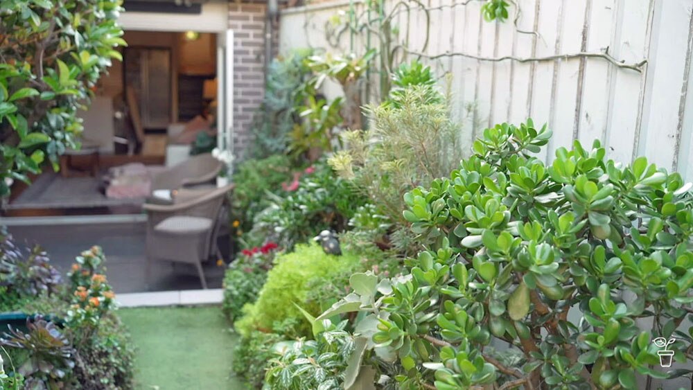 Painting with Pots - Gardening Australia