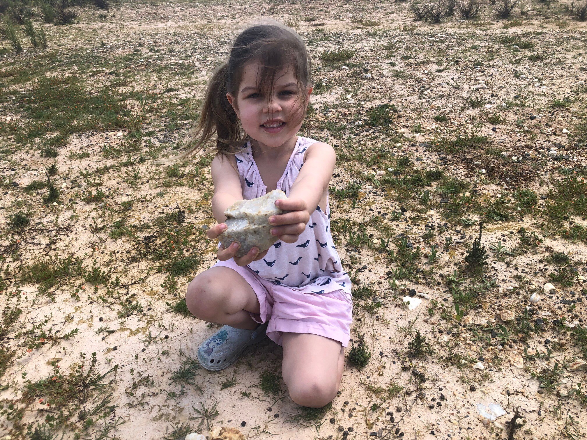 Victorian fossickers encouraged to keep searching for 'underrated' semi ...