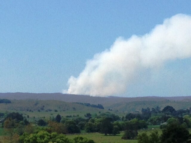 Hot weather sparks up a bushfire in the Nightcap National Park - ABC News