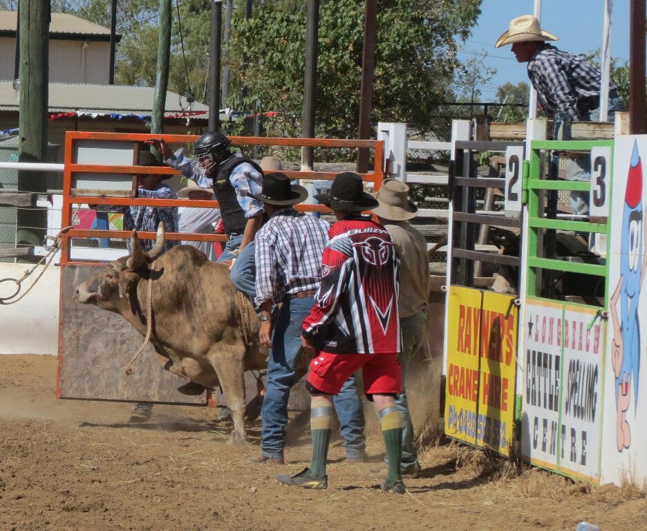 Longreach rodeo school 'not for weak-hearted' - ABC News