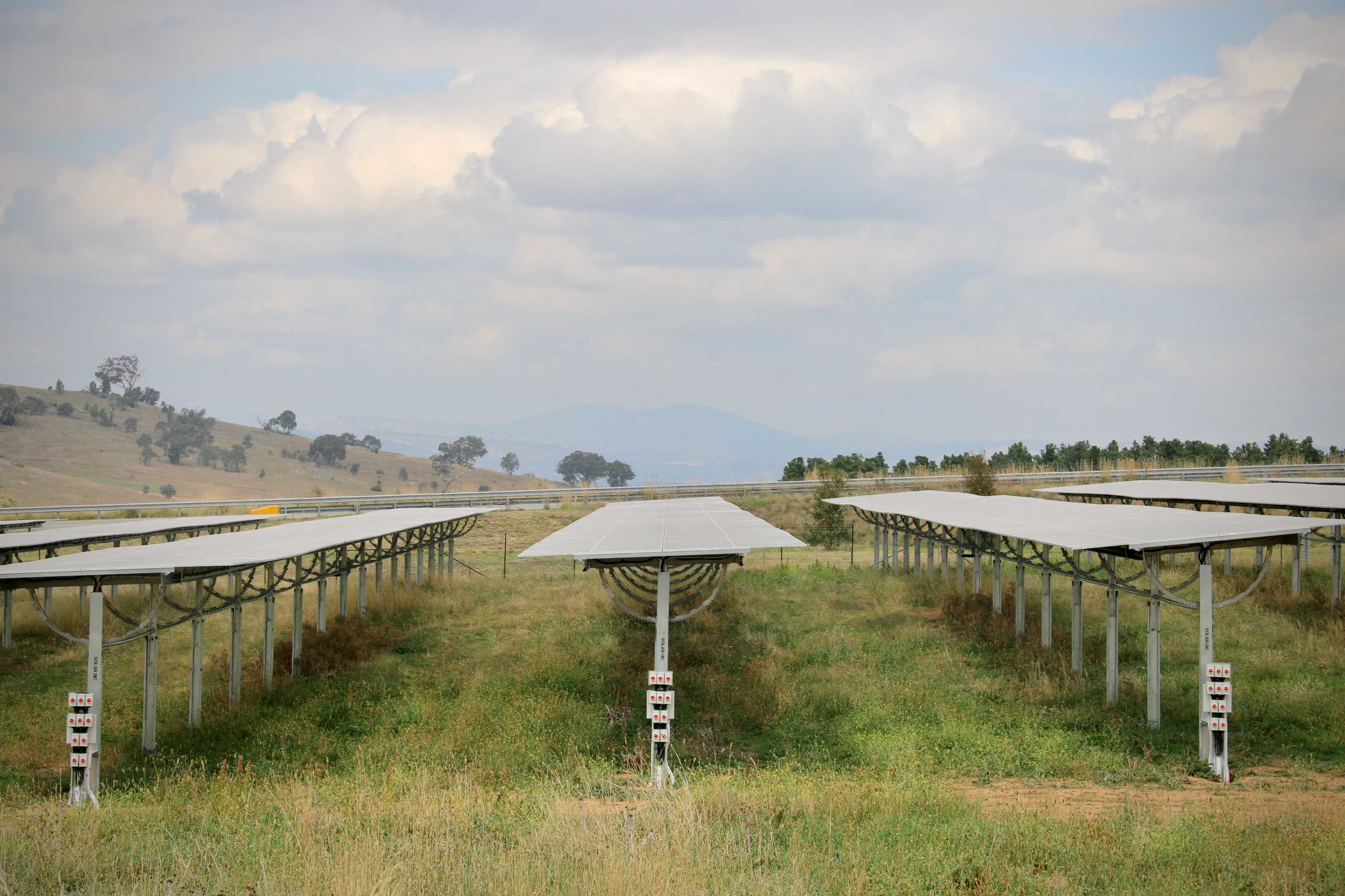 Australia's largest community-owned solar farm begins powering homes in ...