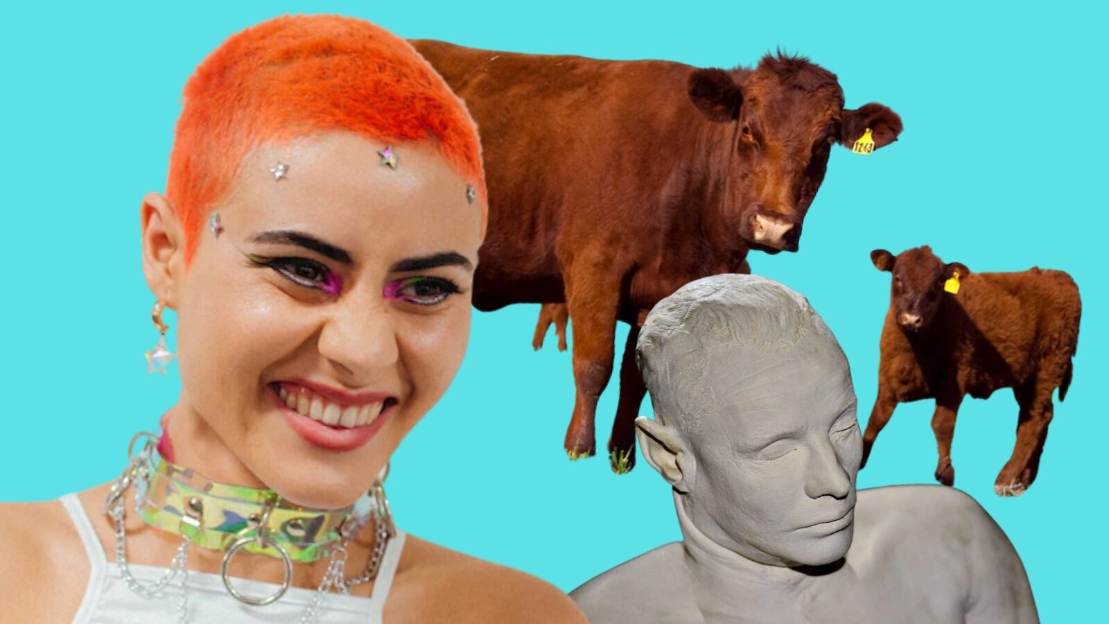 Friday news quiz: Do you know the secret to a long life? What about the ...