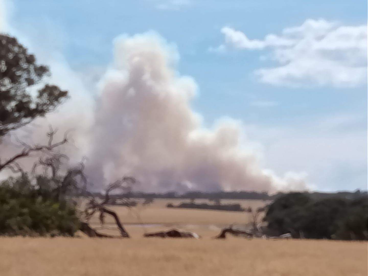 Kangaroo Island grass fire downgraded from emergency level to watch and ...