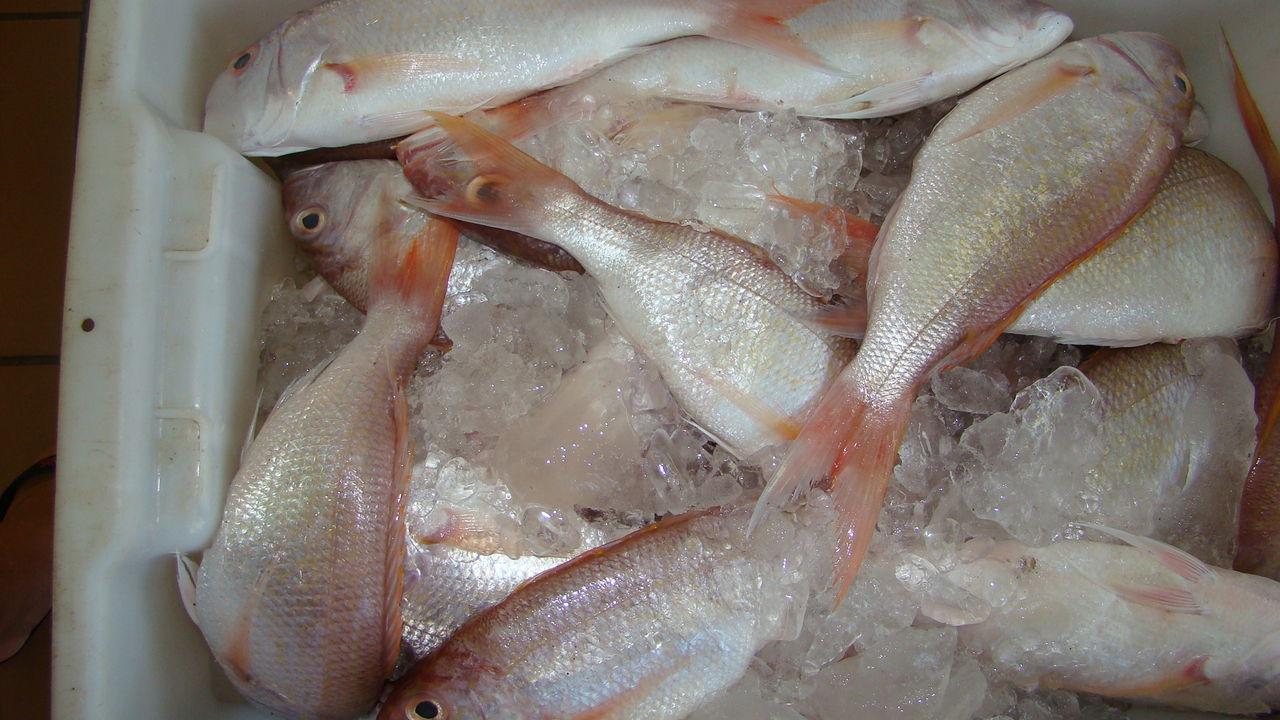 Barbecued or baked whole snapper - ABC News