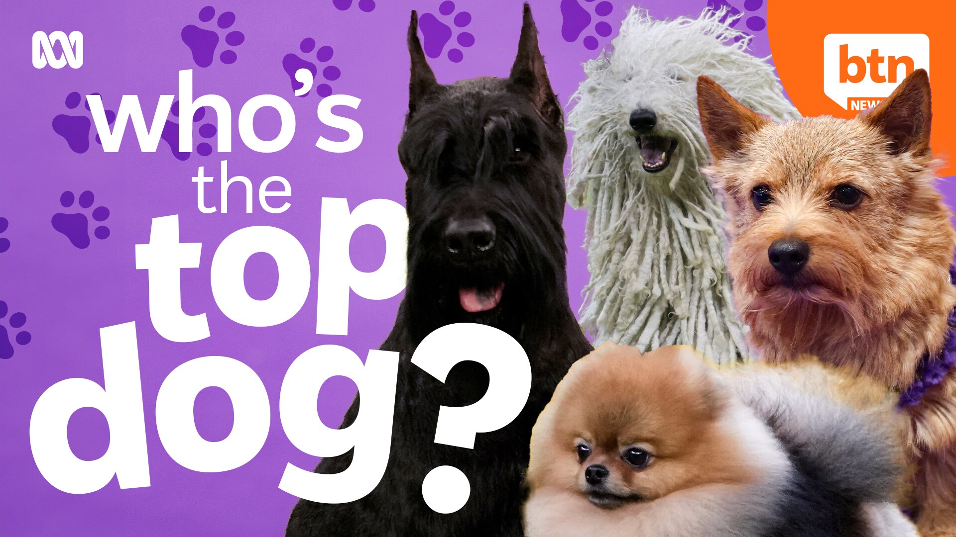 BTN Newsbreak 13/02/2025 - Behind The News