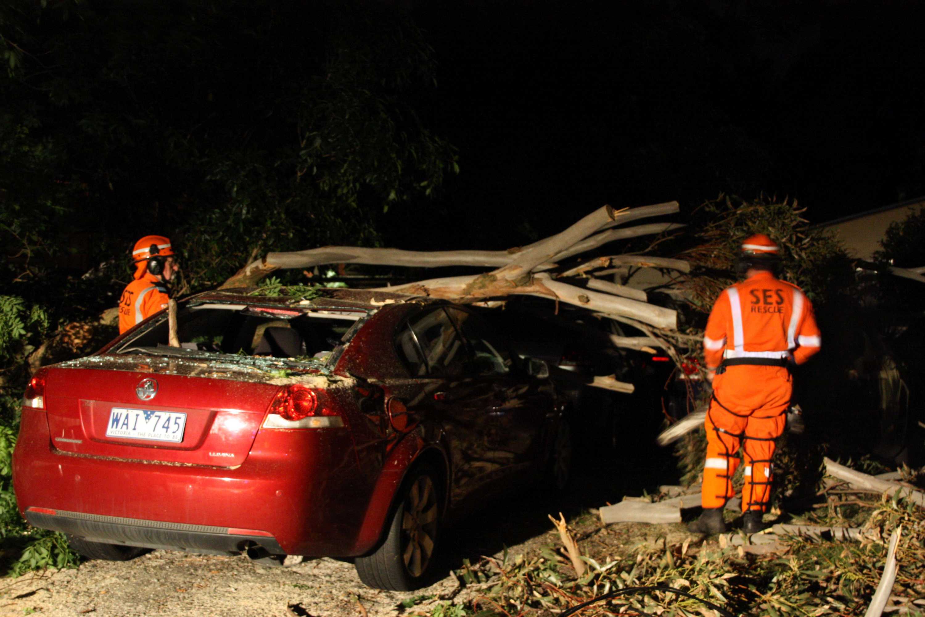 Worst winds in five years cause chaos and damage across Melbourne - ABC ...