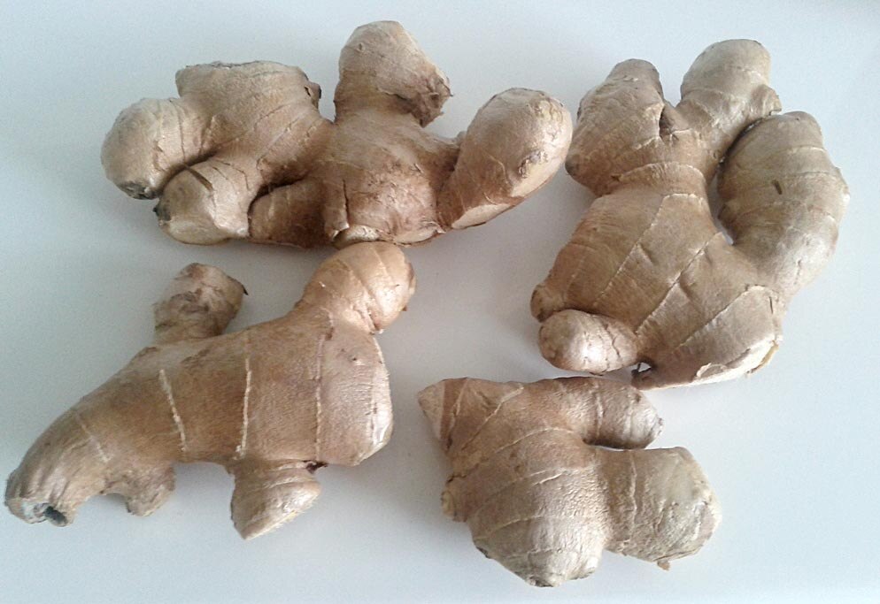 Federal Government refuses request to halt Fijian ginger imports after ...