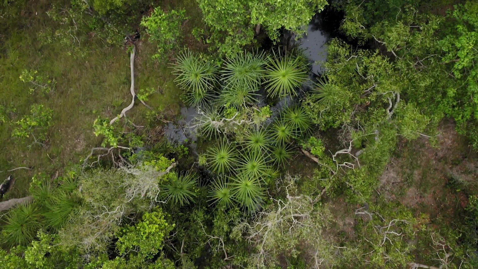 Macleay River flooding at Kempsey - ABC News