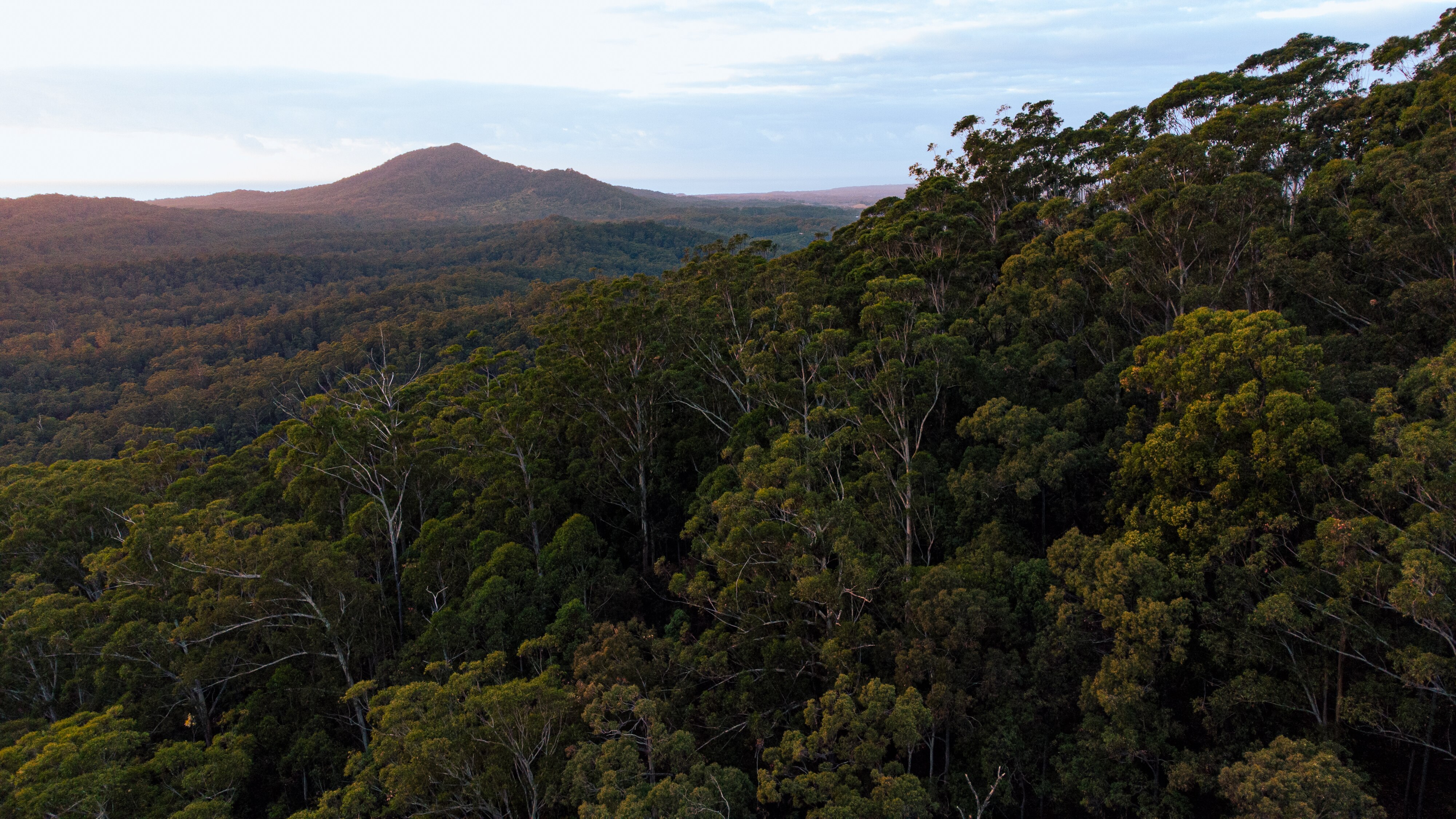 World Wildlife Fund ranks NSW government last, SA first, in Australia ...
