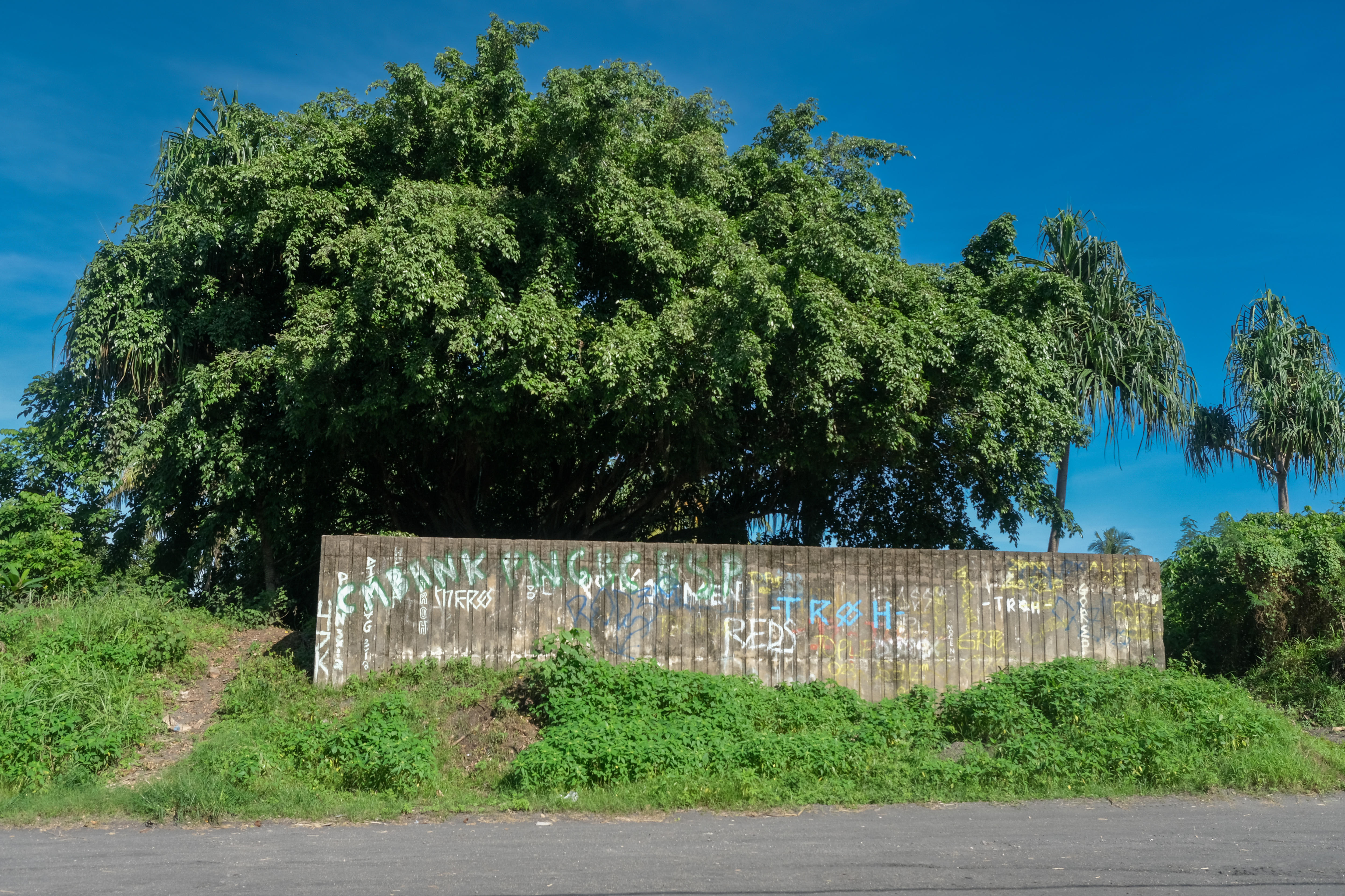 Volcanic eruptions buried Rabaul. Years later, residents live alongside ...