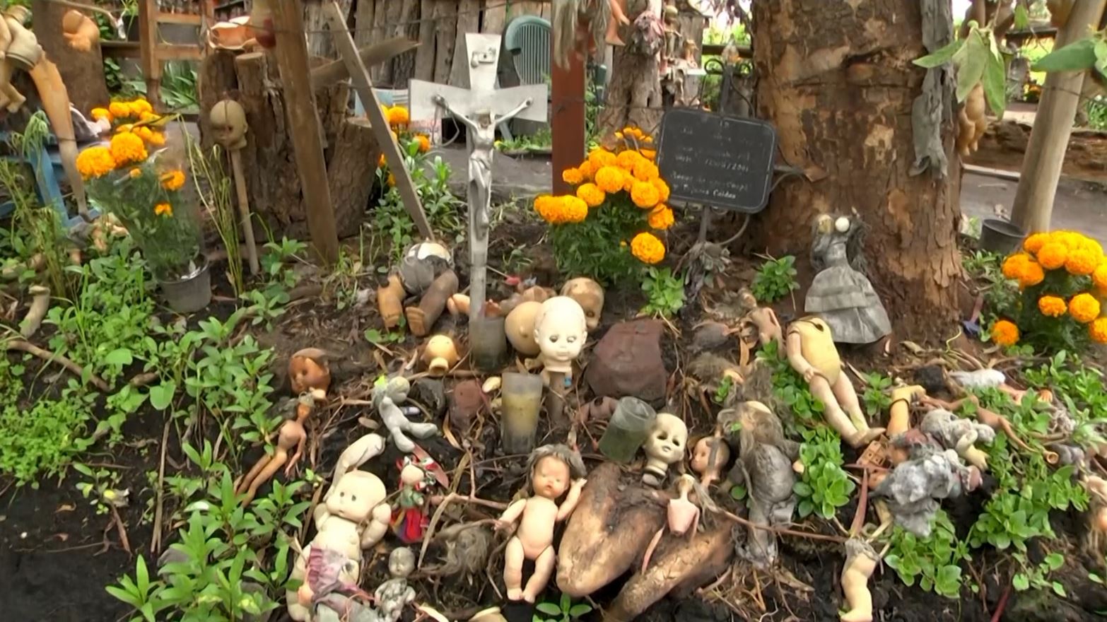 The spooky story behind the Mexican Island of Dolls bring chills to ...