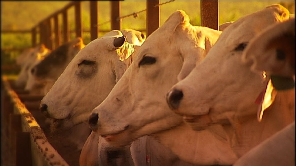 Northern Hope - ABC News