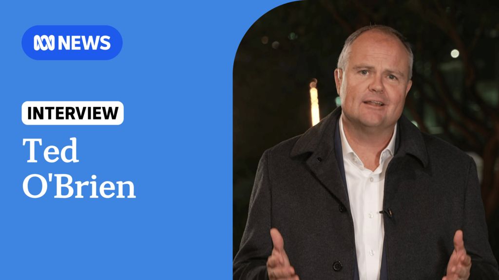 Liberals the 'party of women': Ted O'Brien - ABC News