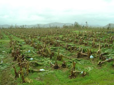 Troops aid cyclone recovery effort - ABC News