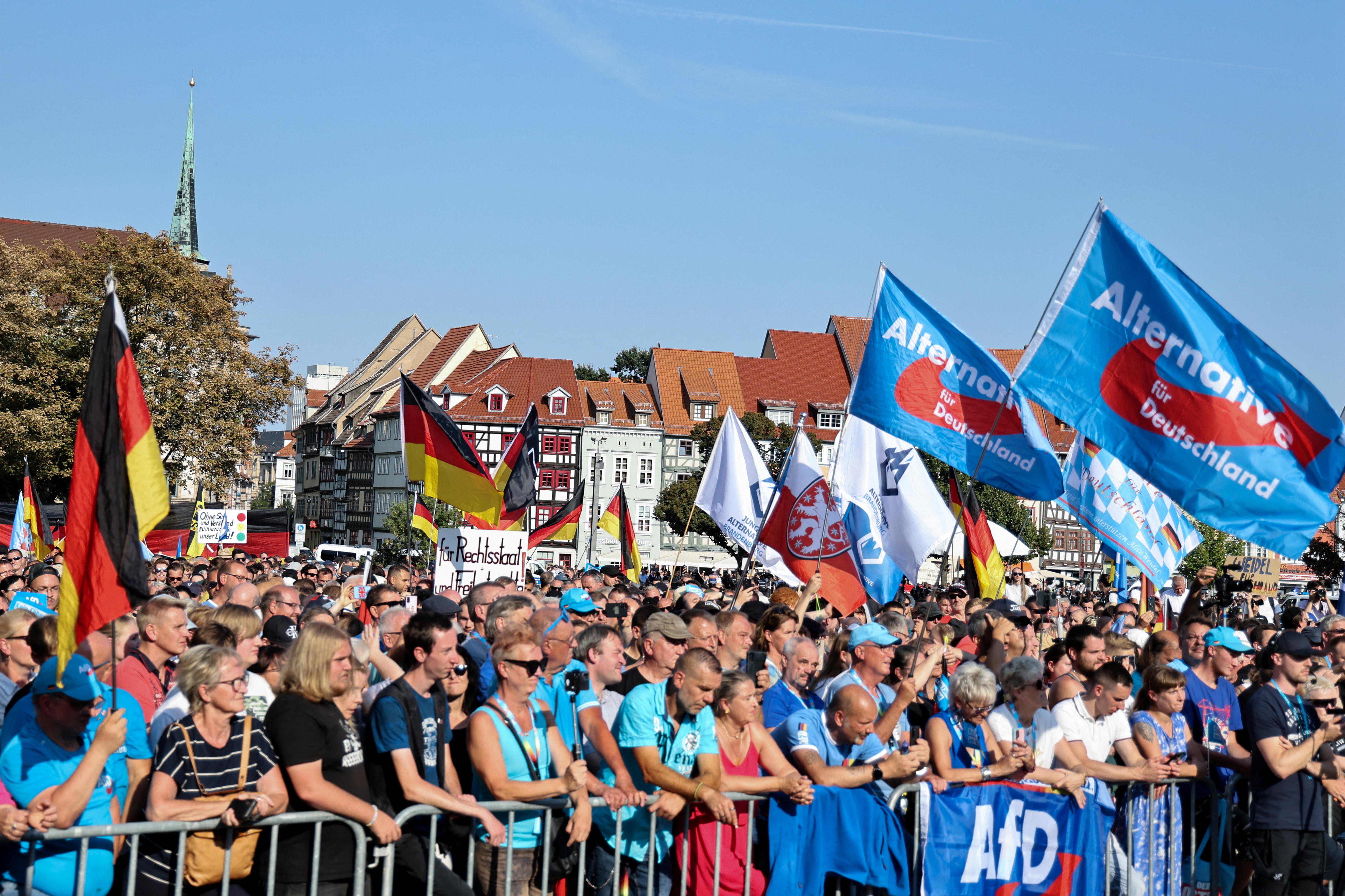 German spy agency labels far-right AfD party 'extremist' - ABC News