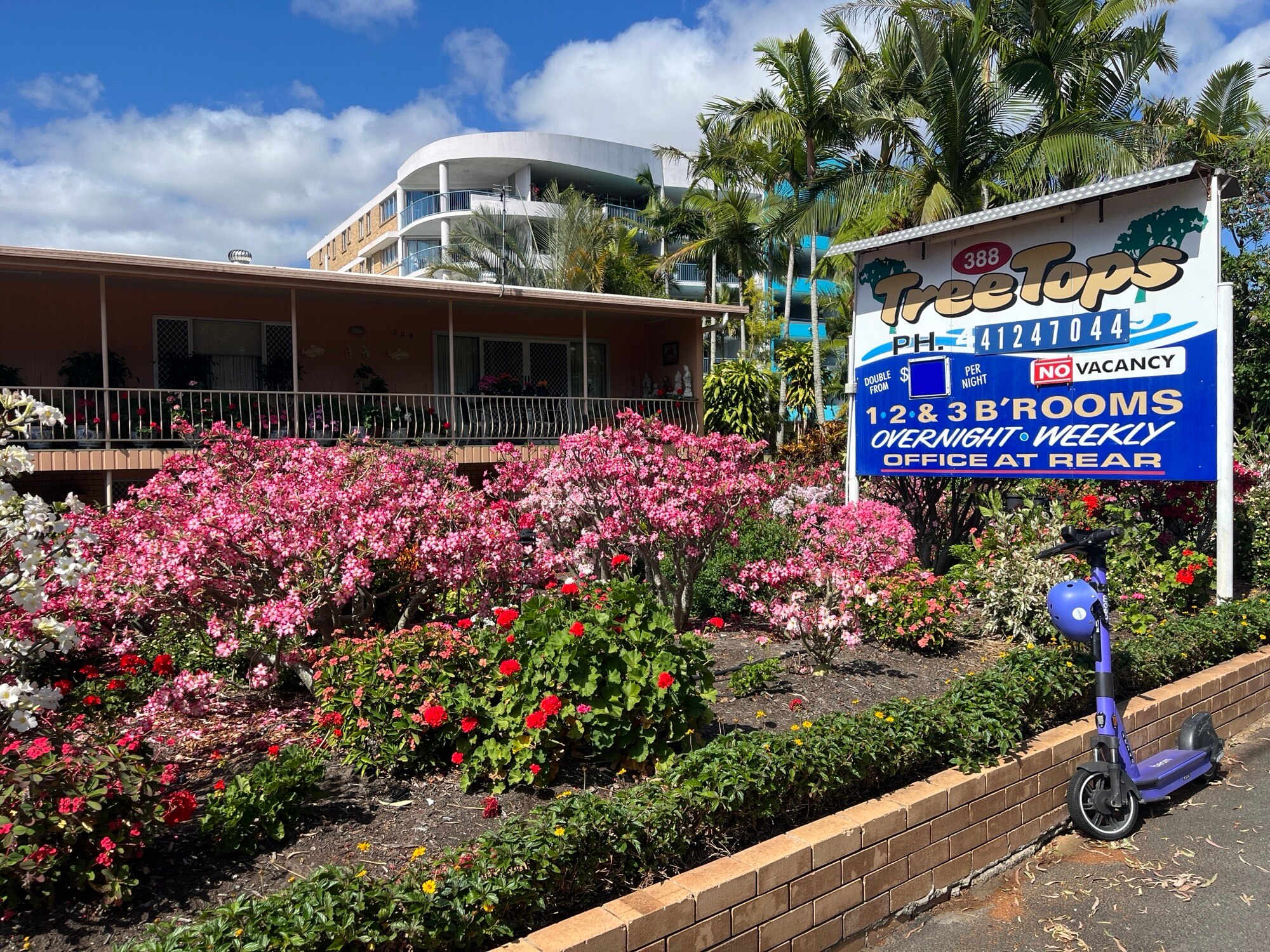 Joshua Wishart to stand trial over alleged murder of Hervey Bay man ...