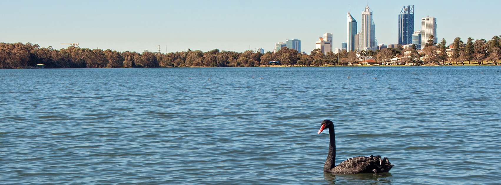 ABC Radio WA schedule for 2018 - ABC Perth