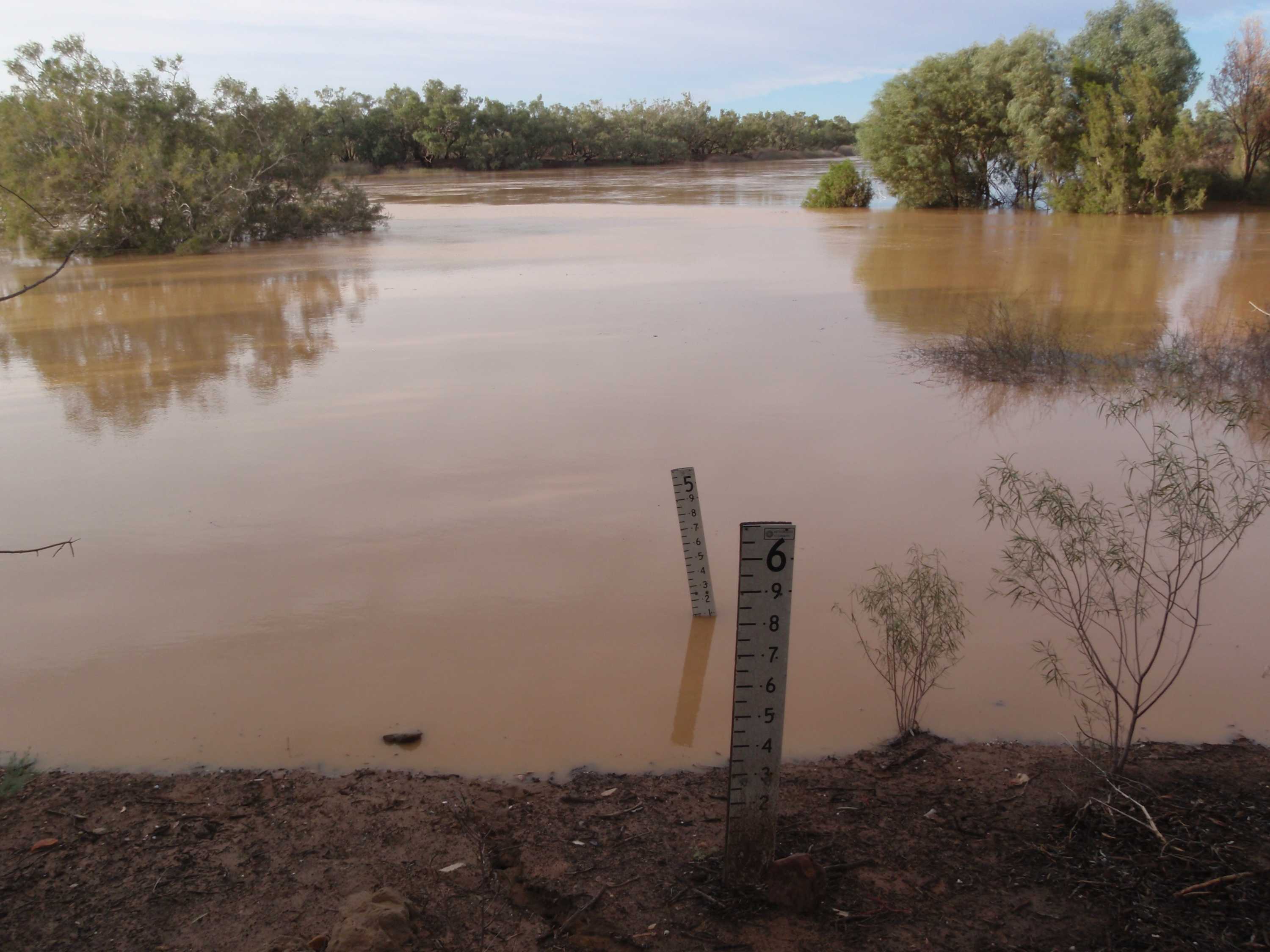 Welcome May rain arrives in Queensland's Channel Country - ABC News