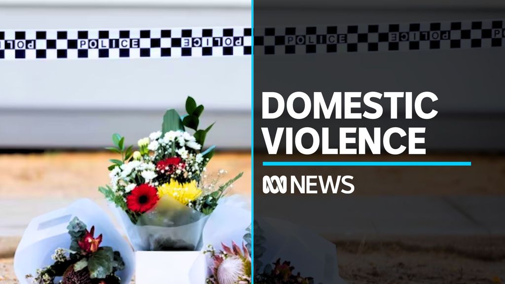 Crisis talks held over domestic violence deaths - ABC News