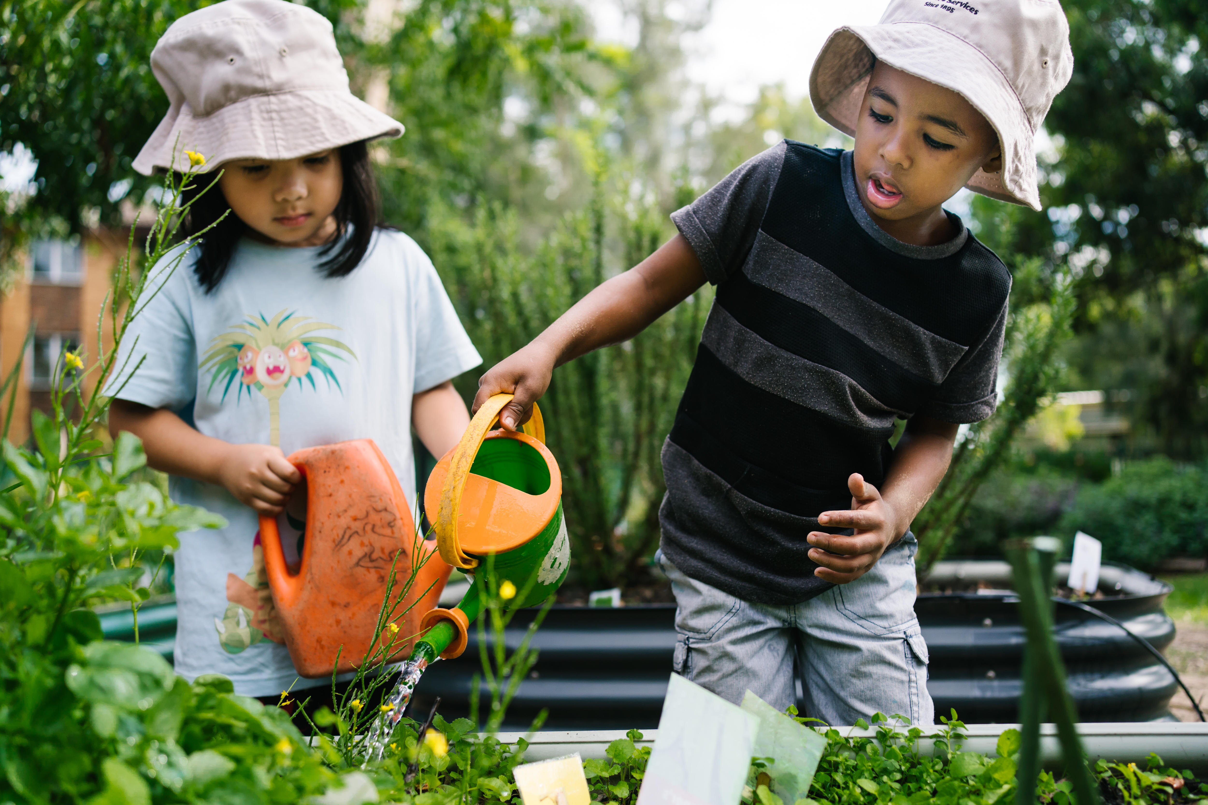 Growing ecological identities - ABC Kids