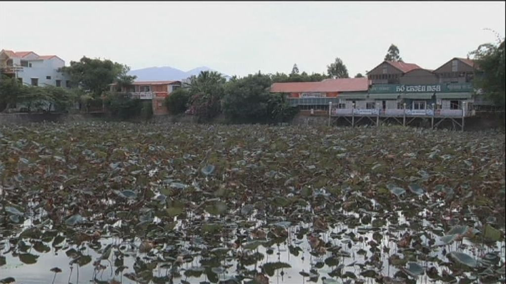 Vietnam, US begin Agent Orange clean-up - ABC News