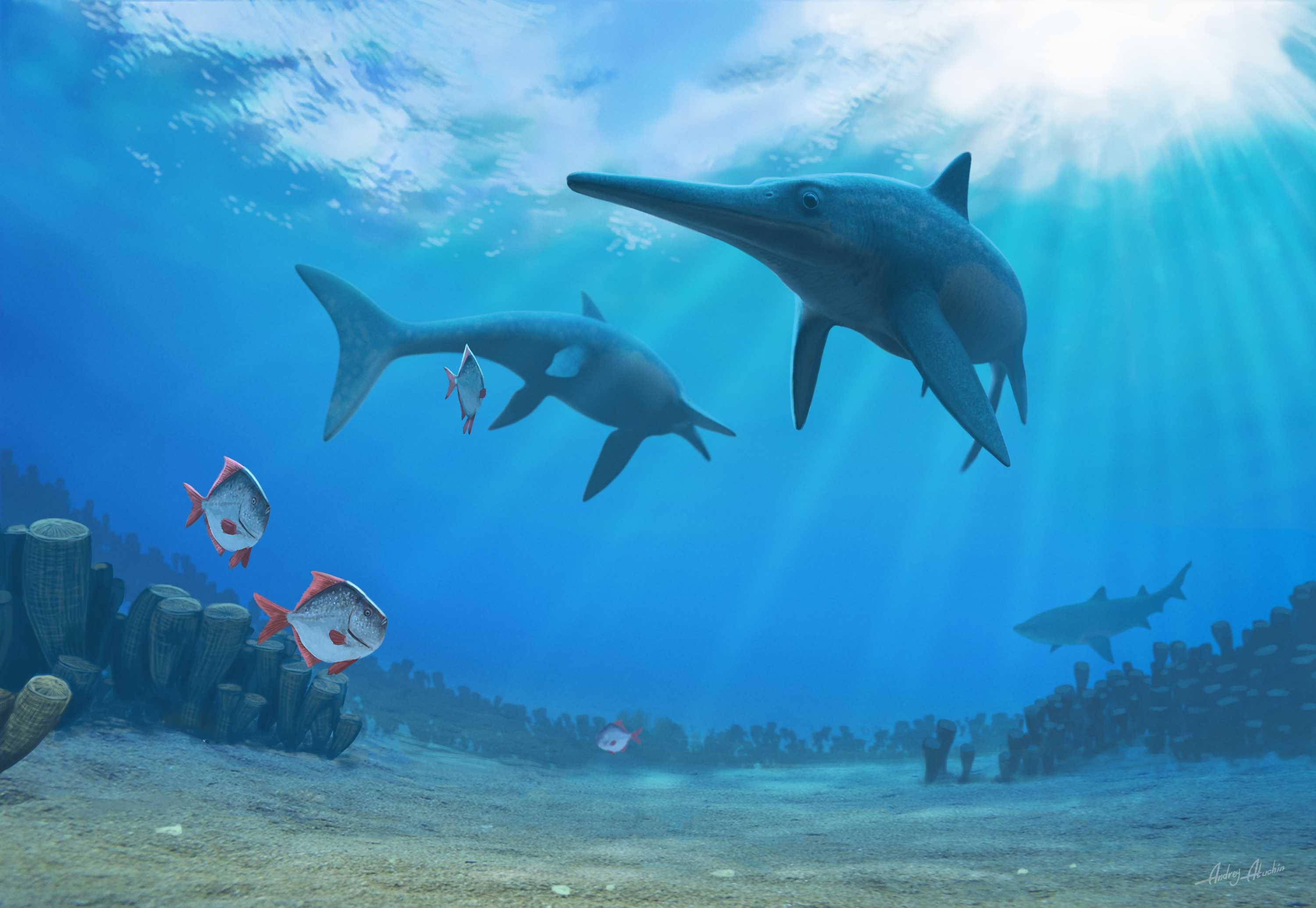 Ancient dolphin-like ichthyosaurs may have been wiped out by climate ...