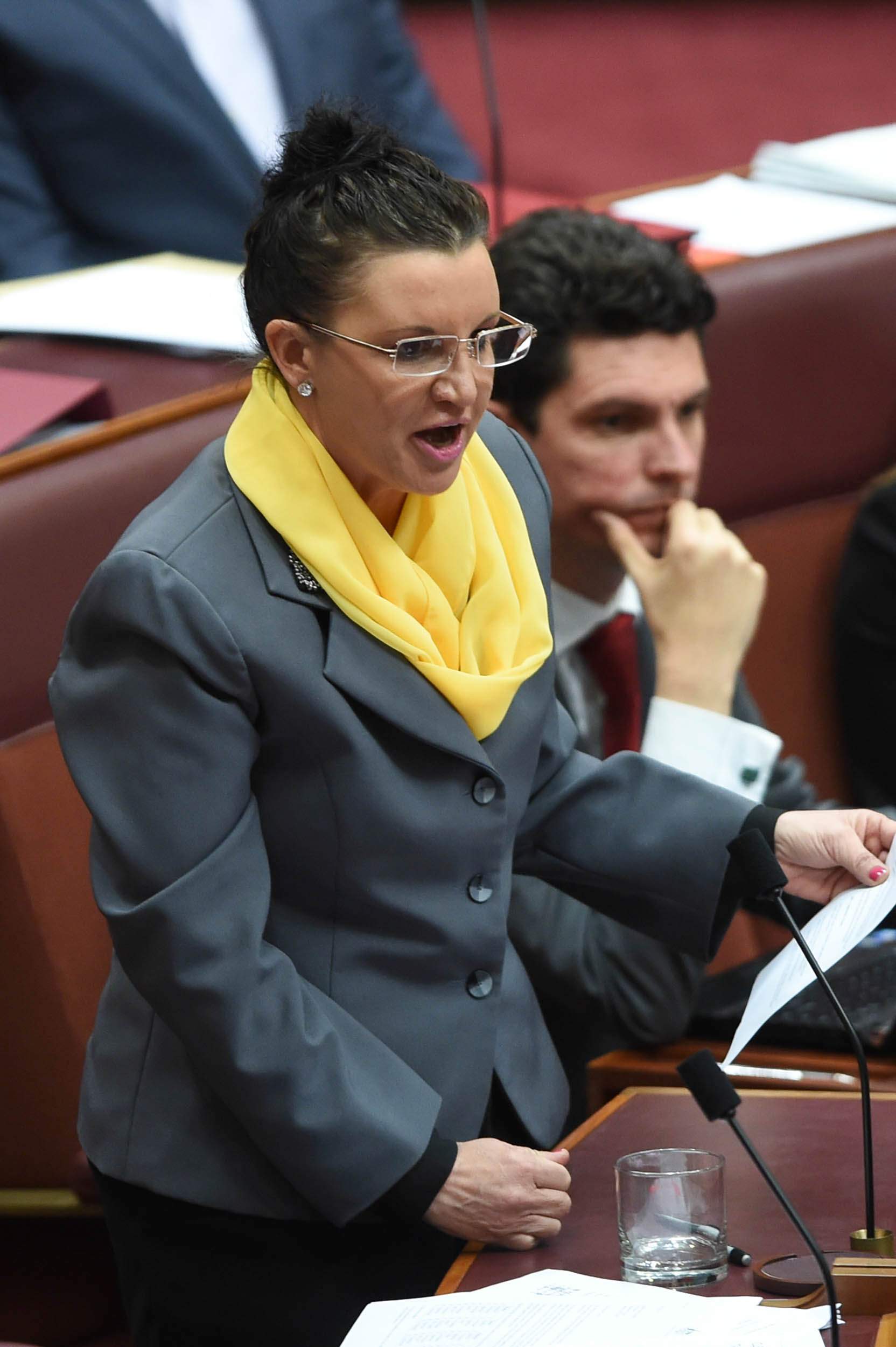 Will 2015 see the rise or fall of crossbenchers? - ABC News