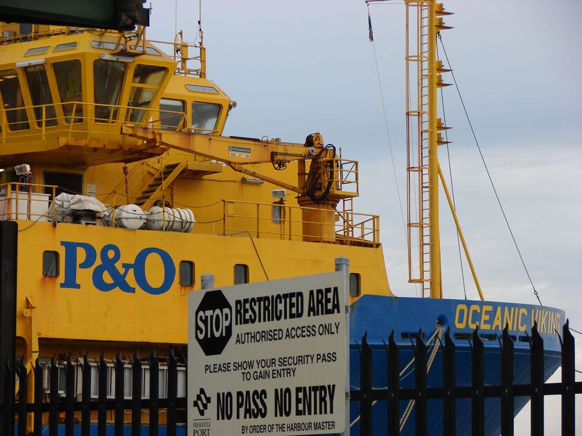 Oceanic Viking's whaling watch not needed: Garrett - ABC News