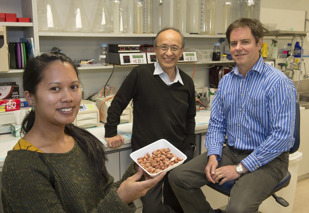 Boiling peanuts may stop allergic reaction, Flinders University ...