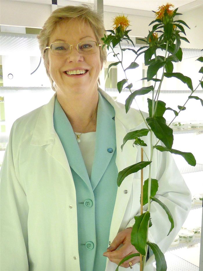 CSIRO head Dr Megan Clark to receive Order of Australia - ABC listen