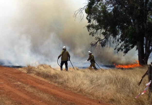 Firefighters battle blaze near Northcliffe - ABC News